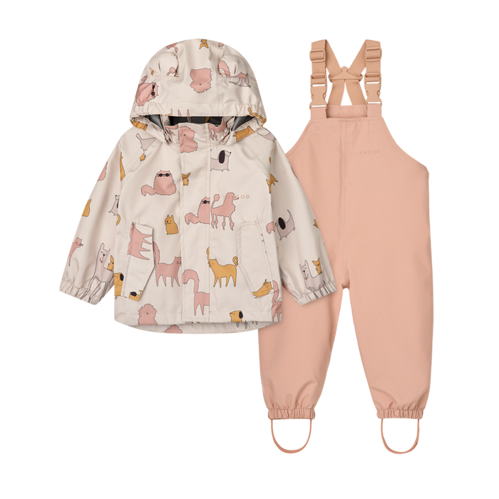 Rain set Manu Cats And Dogs Sandy