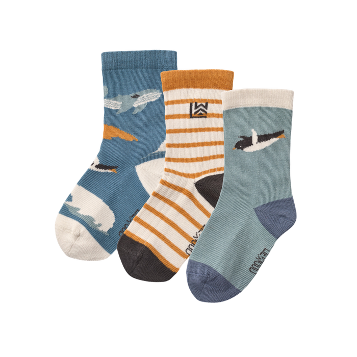 Set of 3 Silas Arctic Sea Ocean View socks