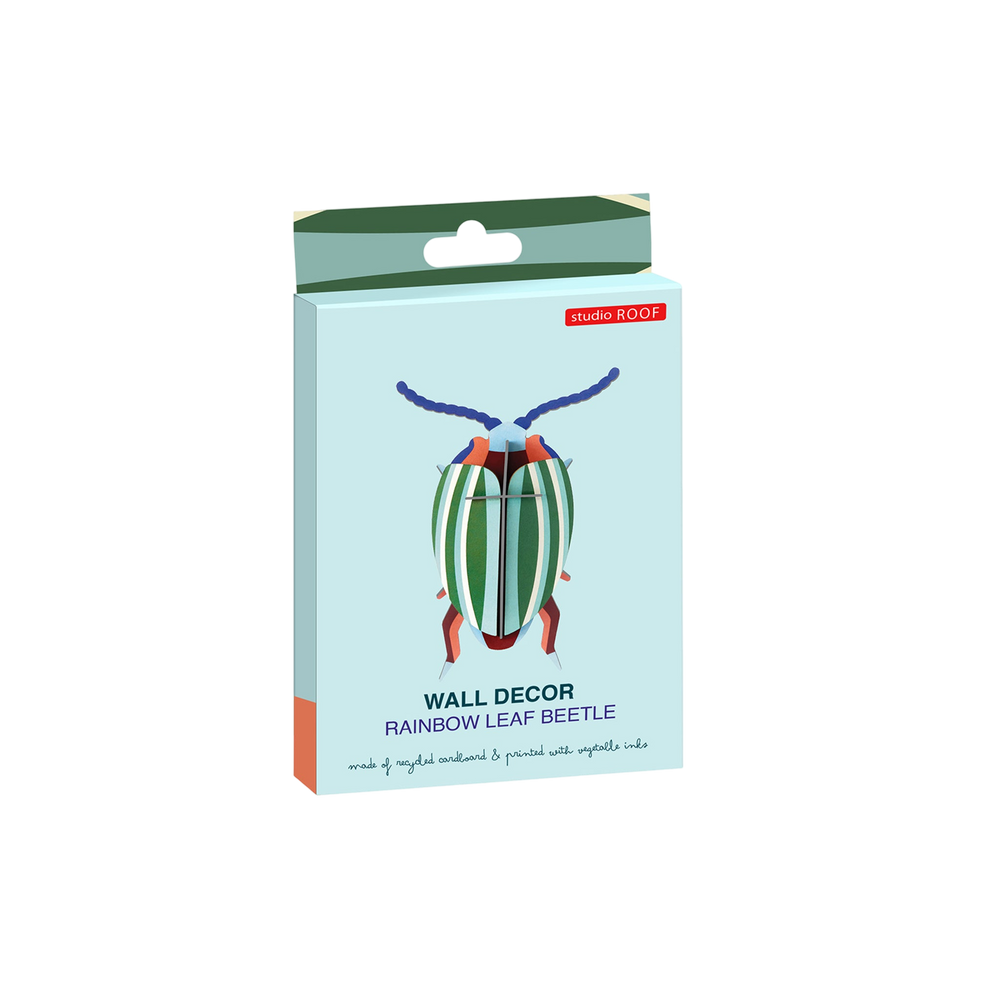 Rainbow leaf beetle craft kit