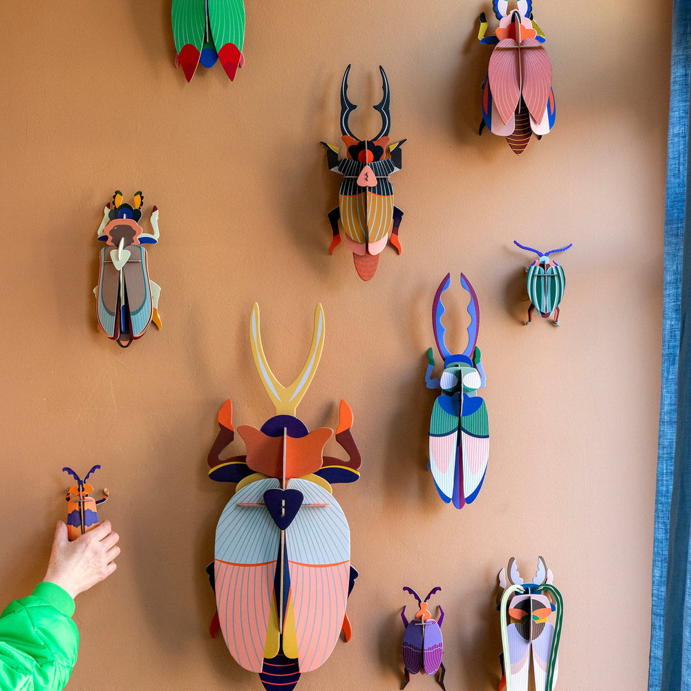 Rainbow leaf beetle craft kit