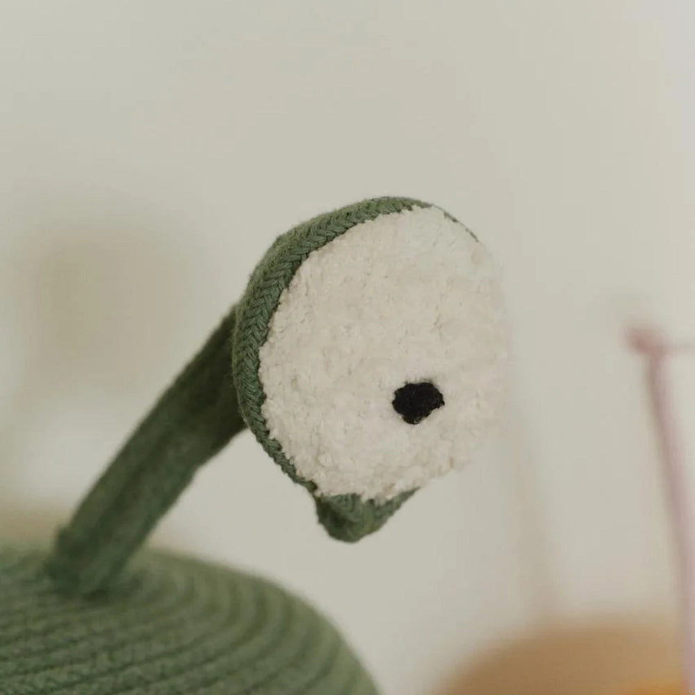 Basket Alien Zog