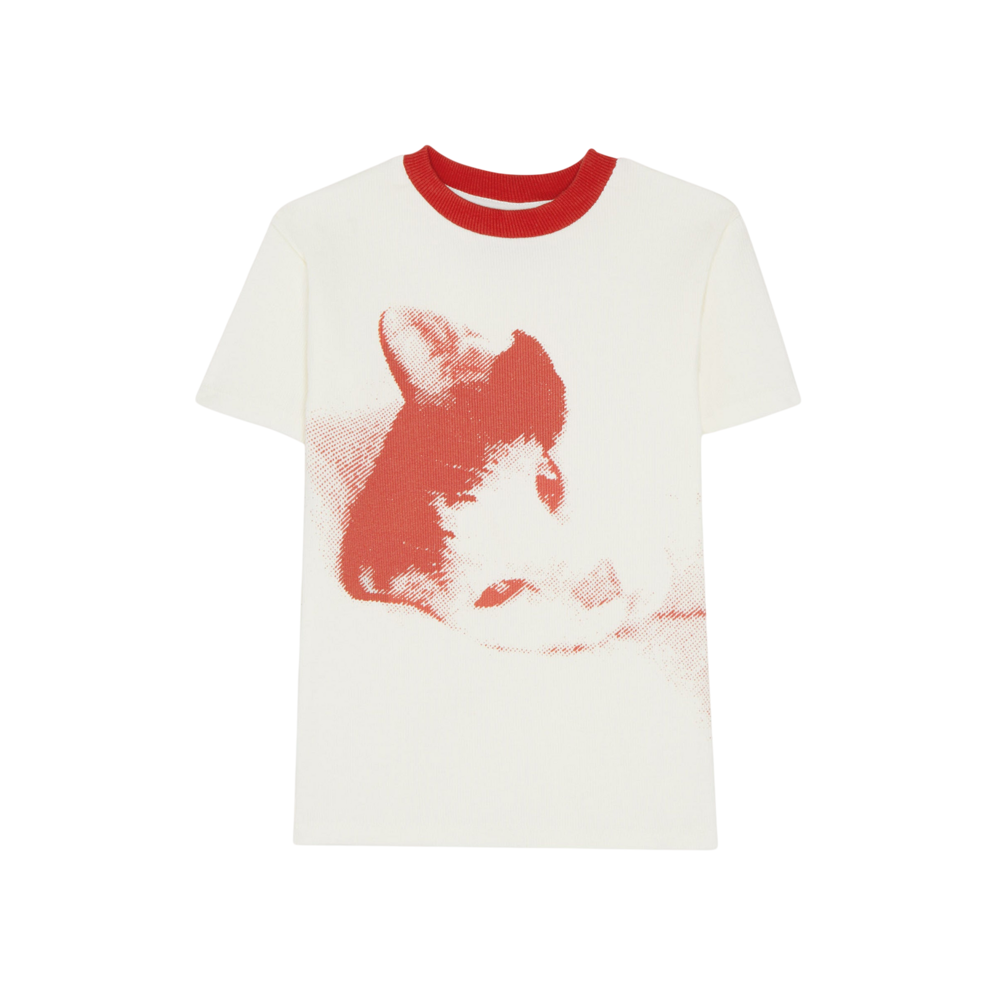 T-shirt Paco the Cat Ecru